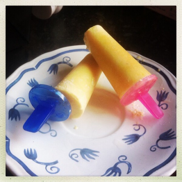 Scottish Fruit Slice Recipe • Foodie Explorers