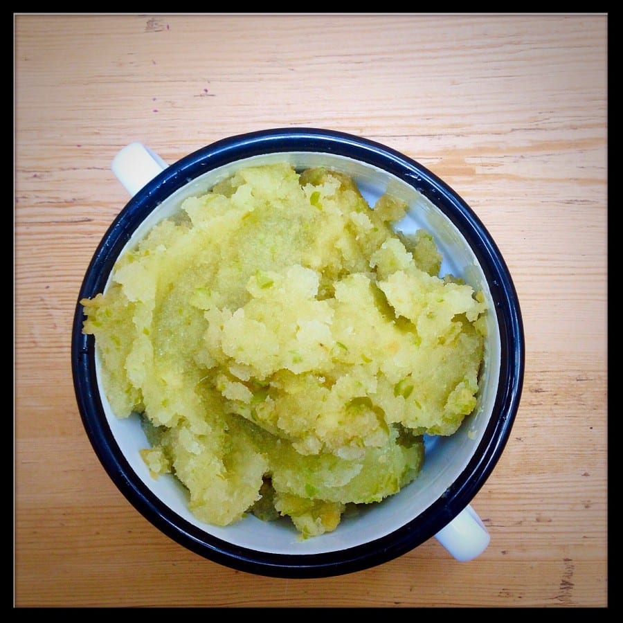 Recipe: Sugar Free Apple Sorbet • Foodie Explorers