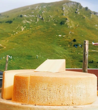 Learning all about Alpine cheese-making with Rupp • Foodie Explorers