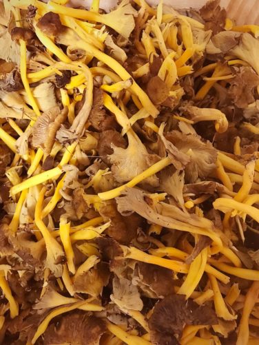 Trump Turnberry Review • Foodie Explorers