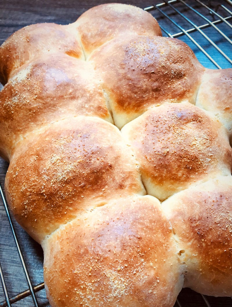 Recipe : Scottish Morning Rolls • Foodie Explorers