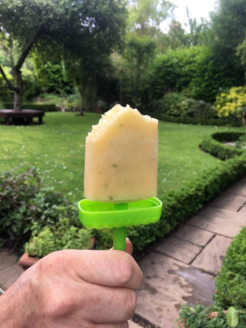 Recipe : Fresh and Fruity Natural Ice Blocks • Foodie Explorers