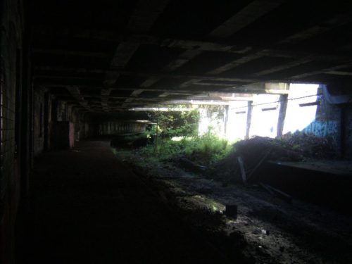 Botanic Gardens Railway Station • Foodie Explorers | UK Food & Travel ...