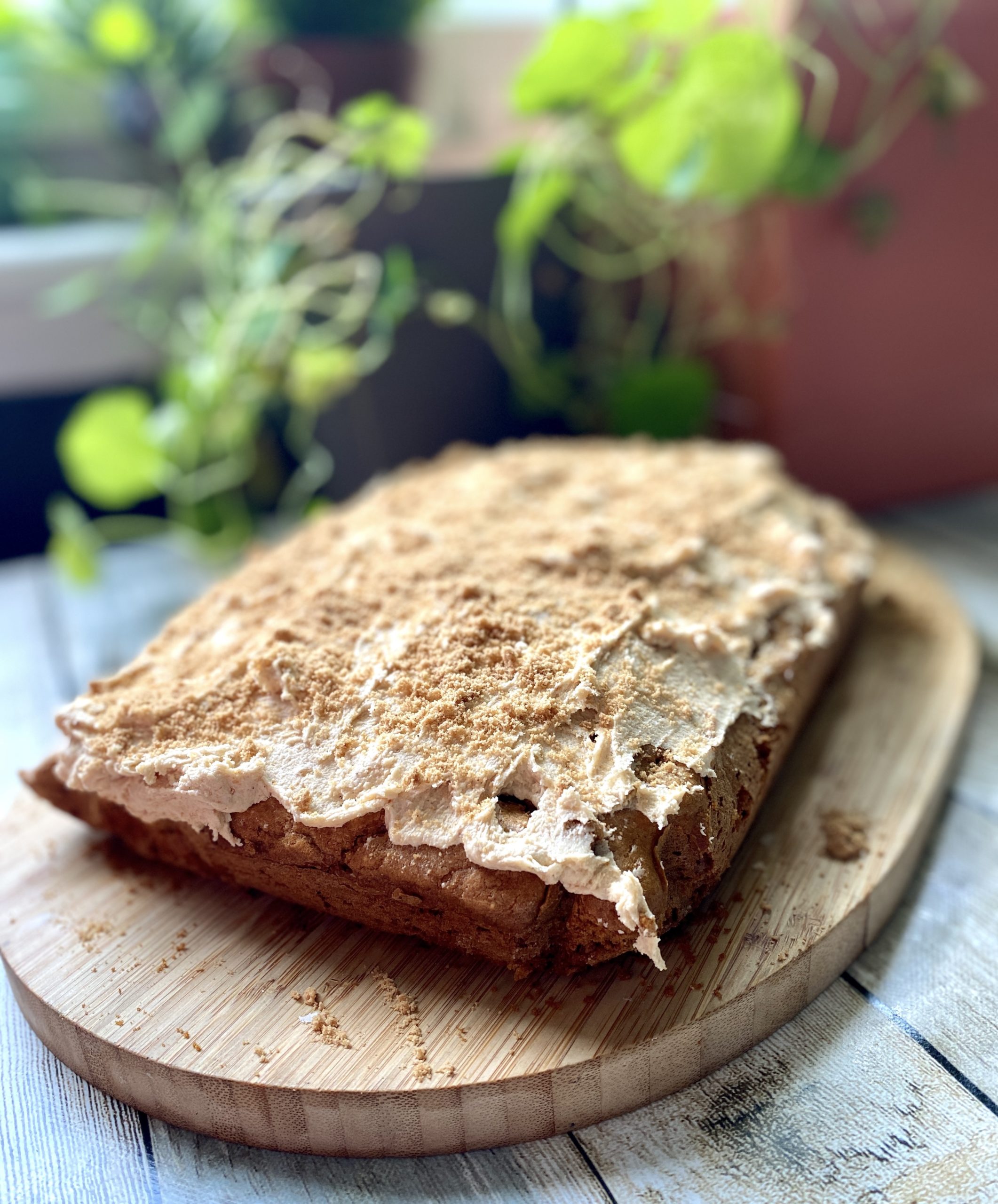 Biscoff Frosted Traybake Recipe • Foodie Explorers