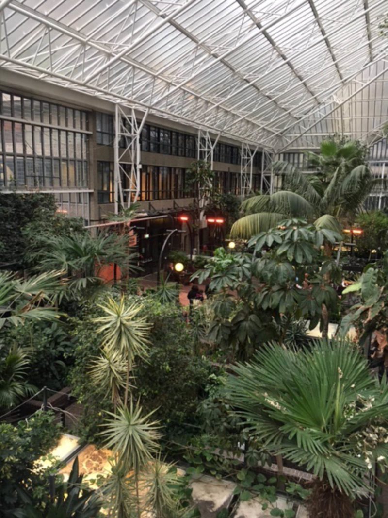 Barbican Conservatory • Foodie Explorers | UK Food & Travel Website ...