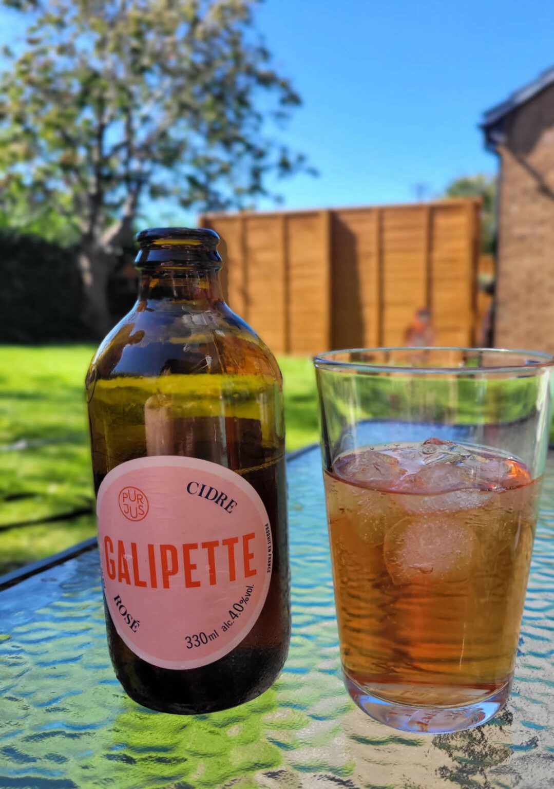 Pink Diesel rose – Foodie Explorers