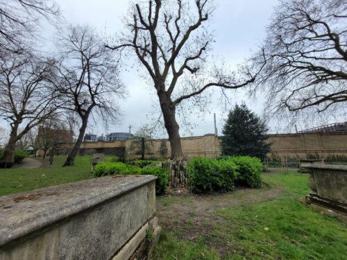 The Hardy Tree, London • Foodie Explorers