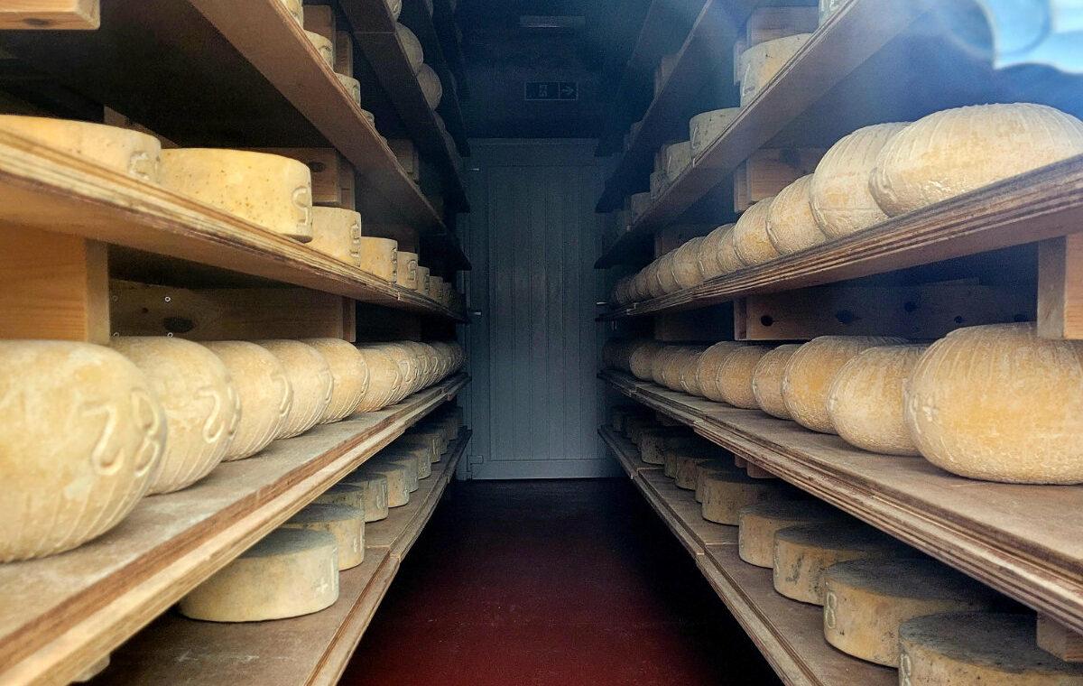 Spotlight on The Ethical Dairy • Foodie Explorers