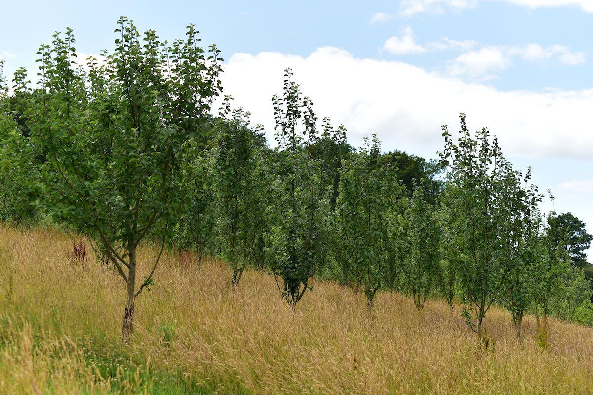 Wild West Wine and Cider tour • Foodie Explorers