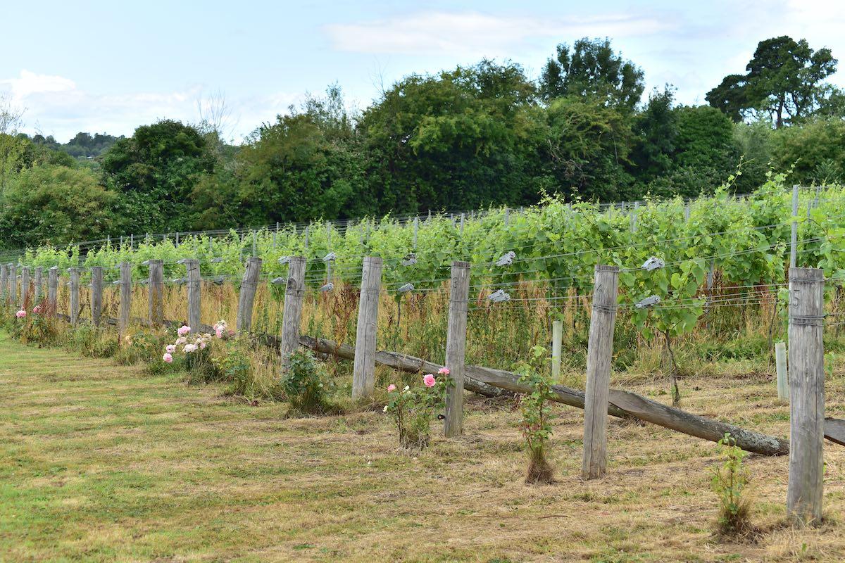 Wild West Wine and Cider tour • Foodie Explorers